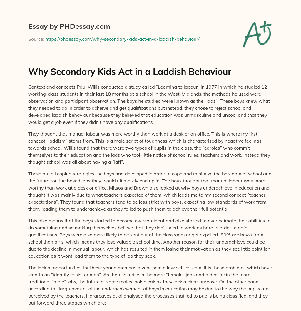 Why Secondary Kids Act in a Laddish Behaviour - PHDessay.com