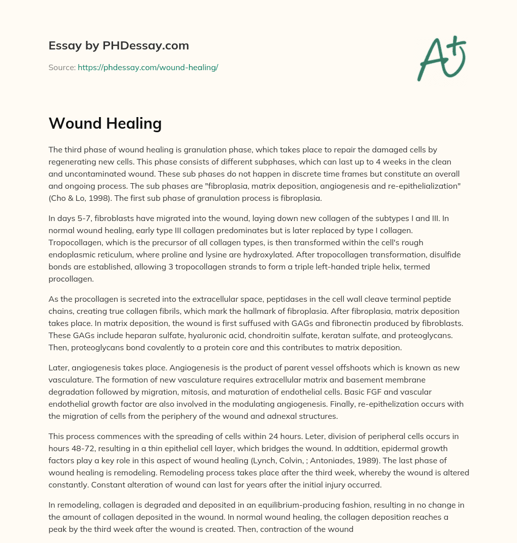 Wound Healing (500 Words) - PHDessay.com