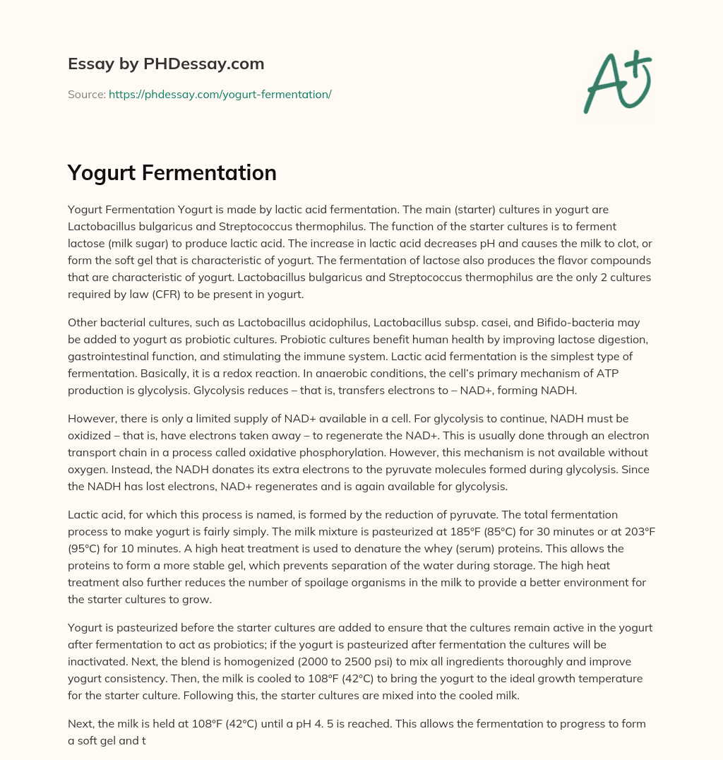 Yogurt Fermentation Process Example (500 Words) - PHDessay.com