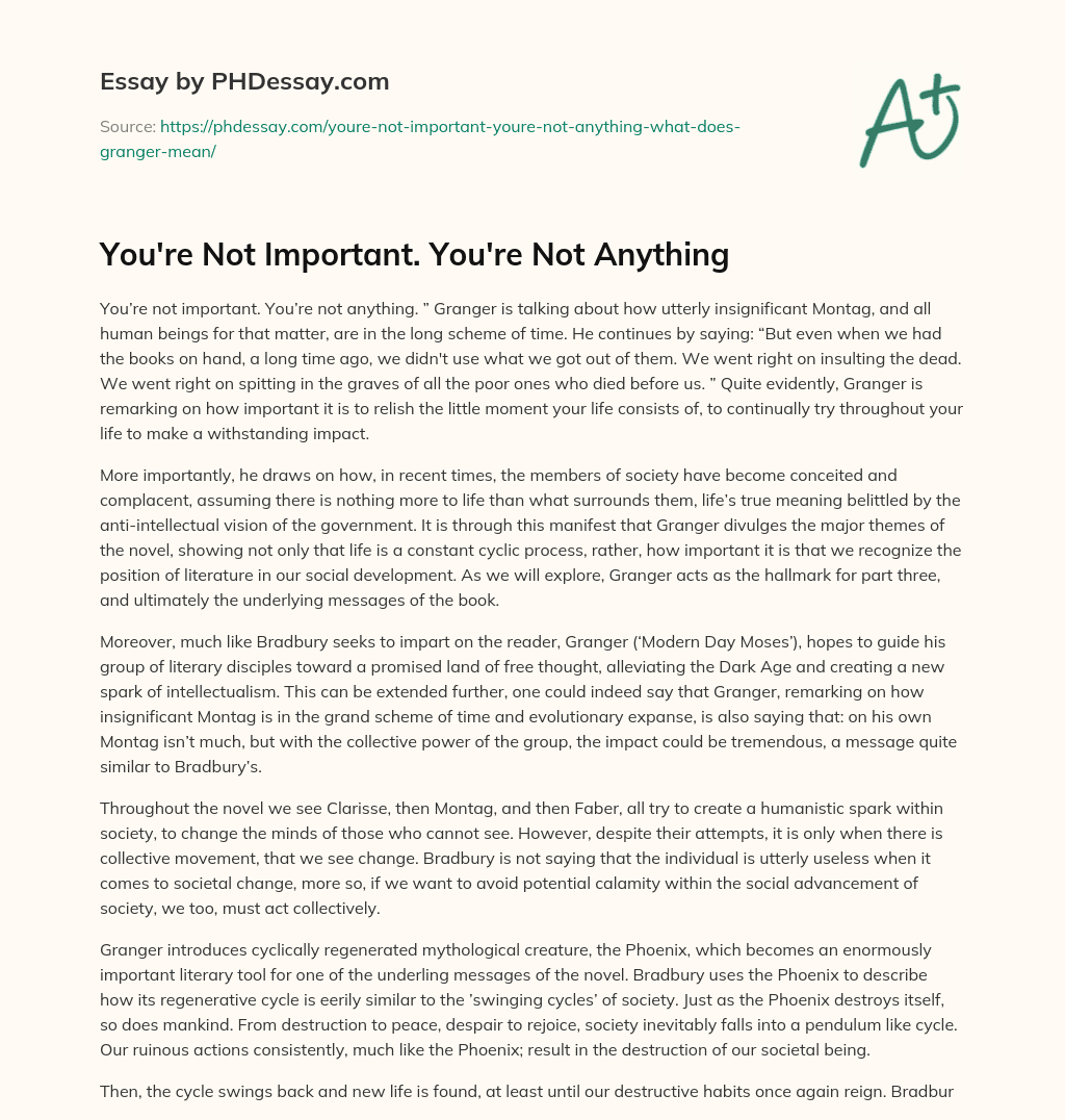 You're Not Important. You're Not Anything - PHDessay.com