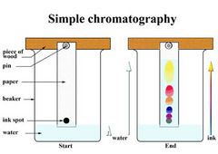 Chemistry exp. 7.7 Separation of a mixture of indicators using paper chromatography or thin ...