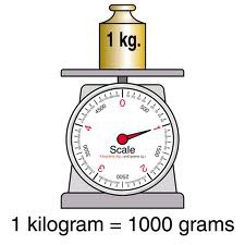 Measurement Facts--Metric Mass / Weight (grams and kilograms ...