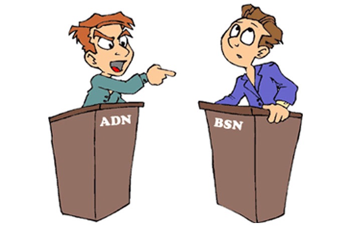 Competencies Difference Between Adn vs Bsn - PHDessay.com